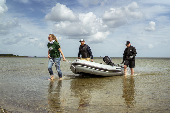 Produkt Detail | Mercury · Quicksilver · Boote · Bootsmotoren